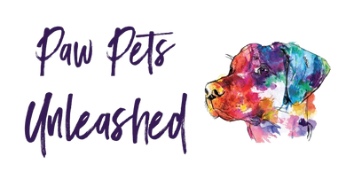 Premium Dog Collars & Leashes & Toys | Unique Styles & Designs ...